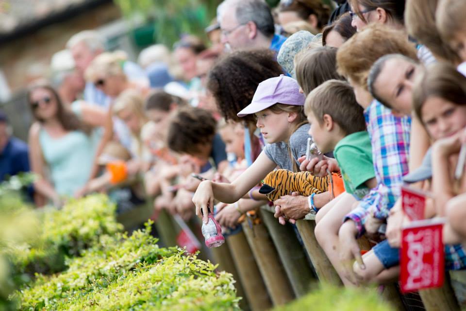 Please support your local zoo - WildCats Conservation Alliance