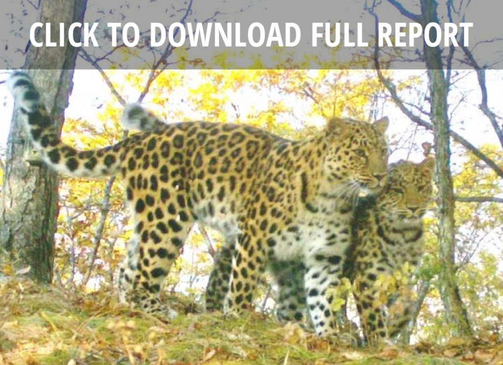 Final Report 2017 - Securing a Future for Amur leopards and tigers in ...