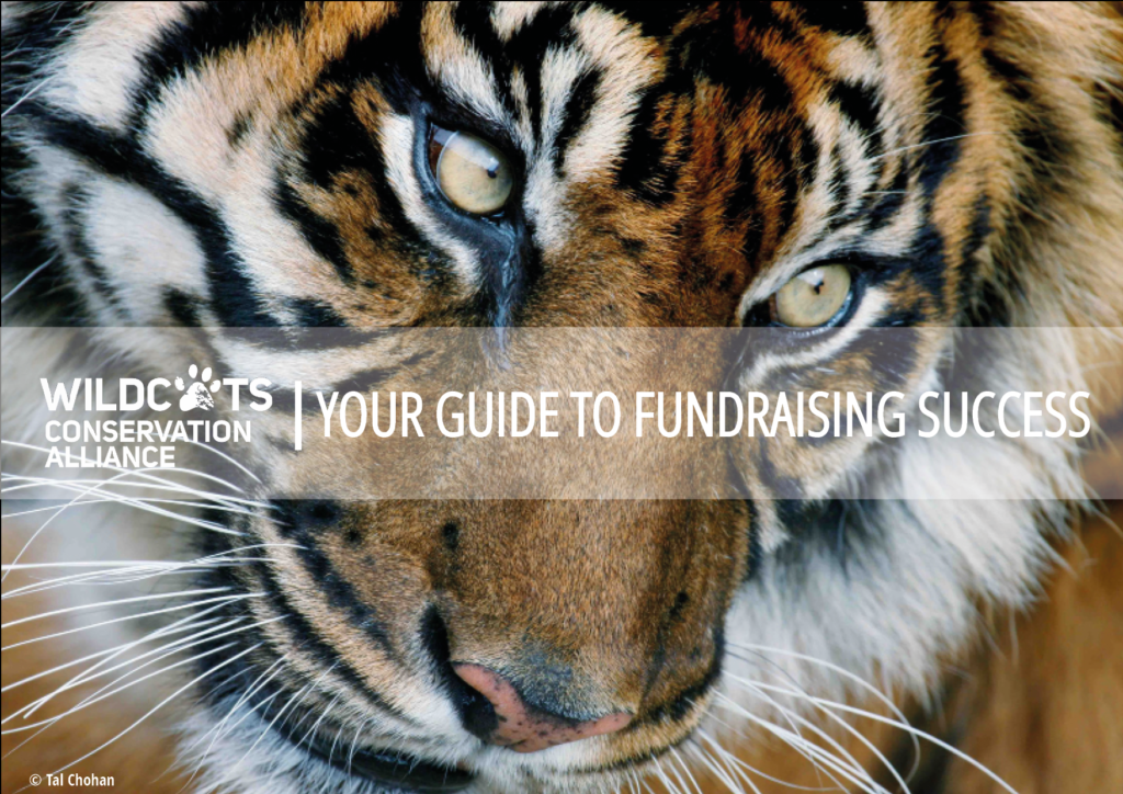 Fundraise for tigers and Amur leopards | WildCats Conservation Alliance