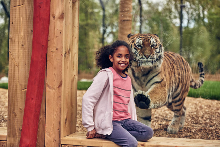 Chessington World of Adventure commits to conservation - WildCats ...