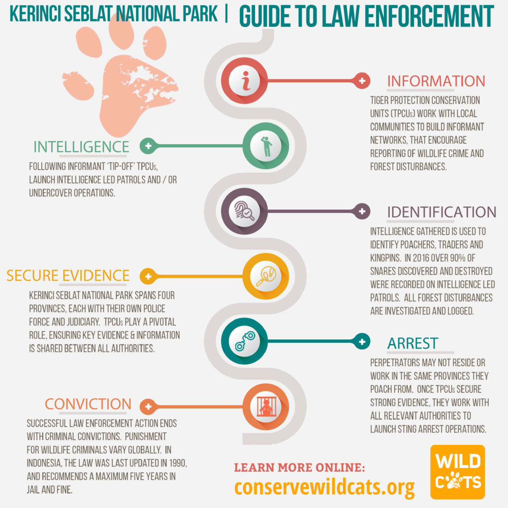 Tackling the Illegal Wildlife Trade (IWT) - WildCats Conservation Alliance