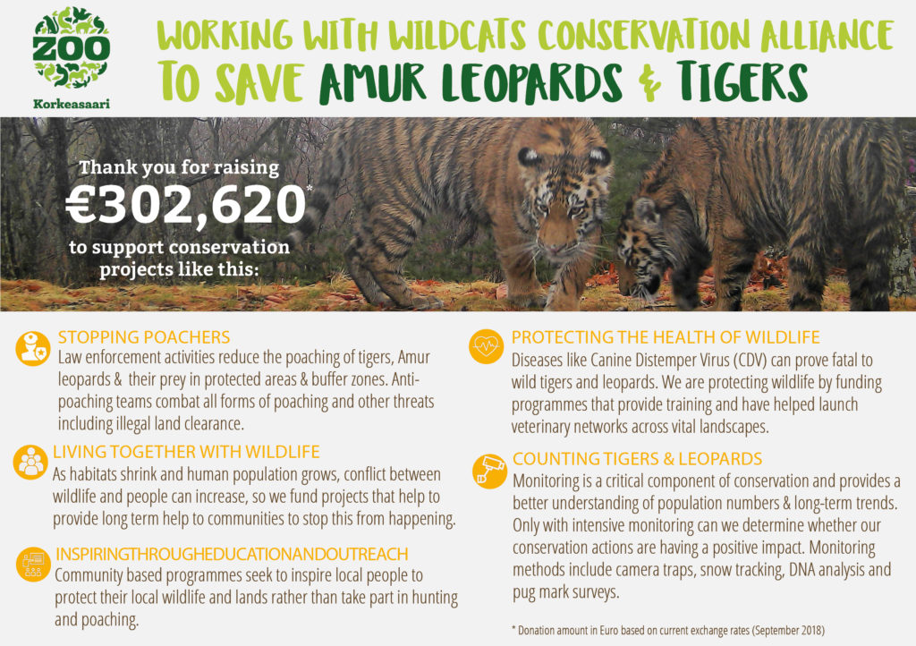 Finland | SAVING AMUR LEOPARDS AND TIGERS - WildCats Conservation Alliance