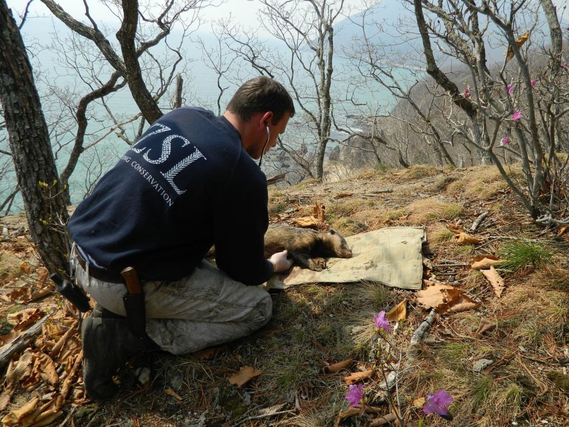 Understanding Wildlife Health - WildCats Conservation Alliance