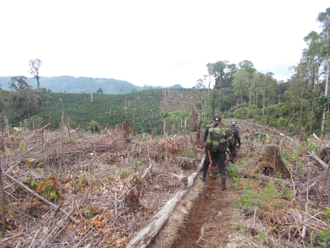 Tiger snare patrol is still conducted - WildCats Conservation Alliance