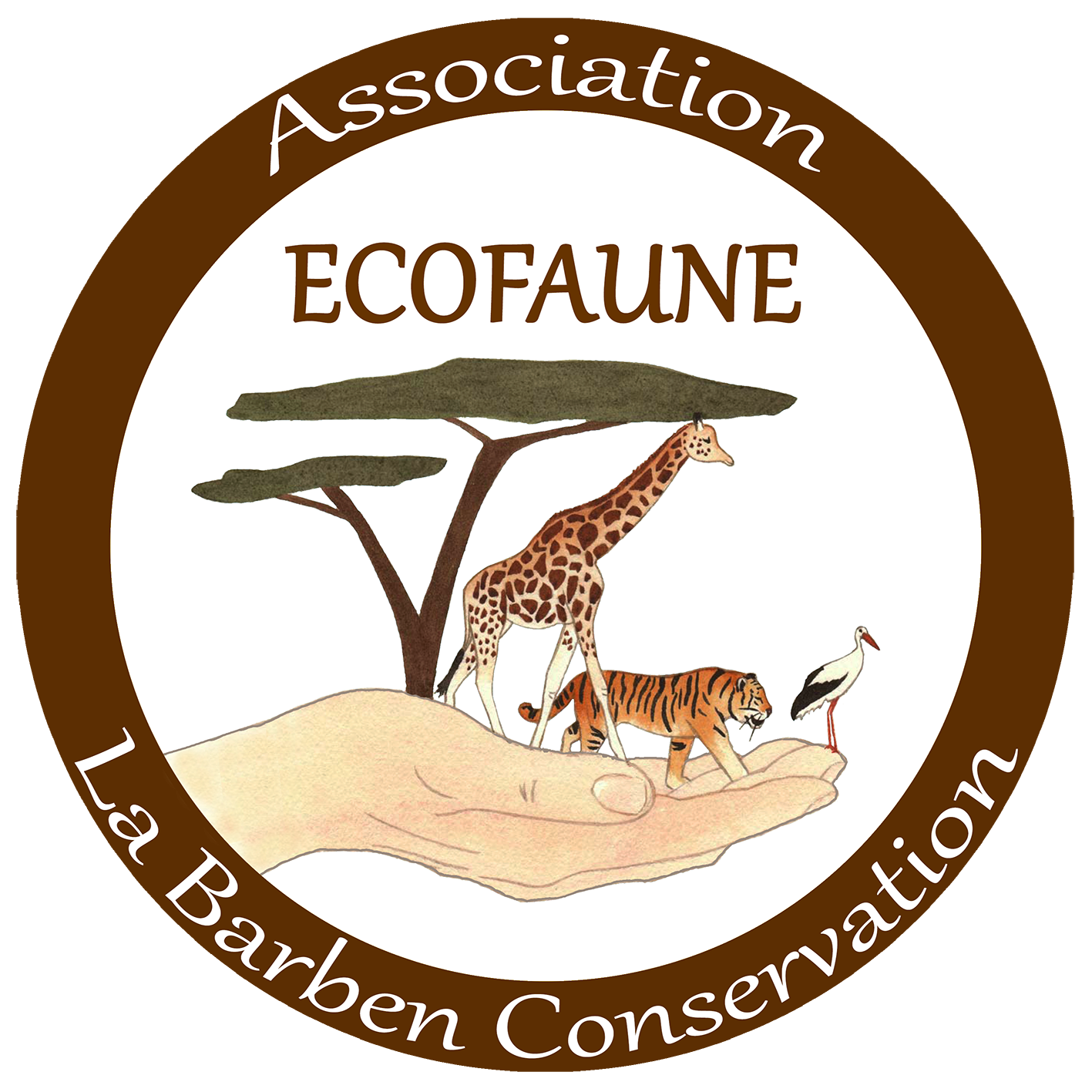 Newest supporter zoo - WildCats Conservation Alliance