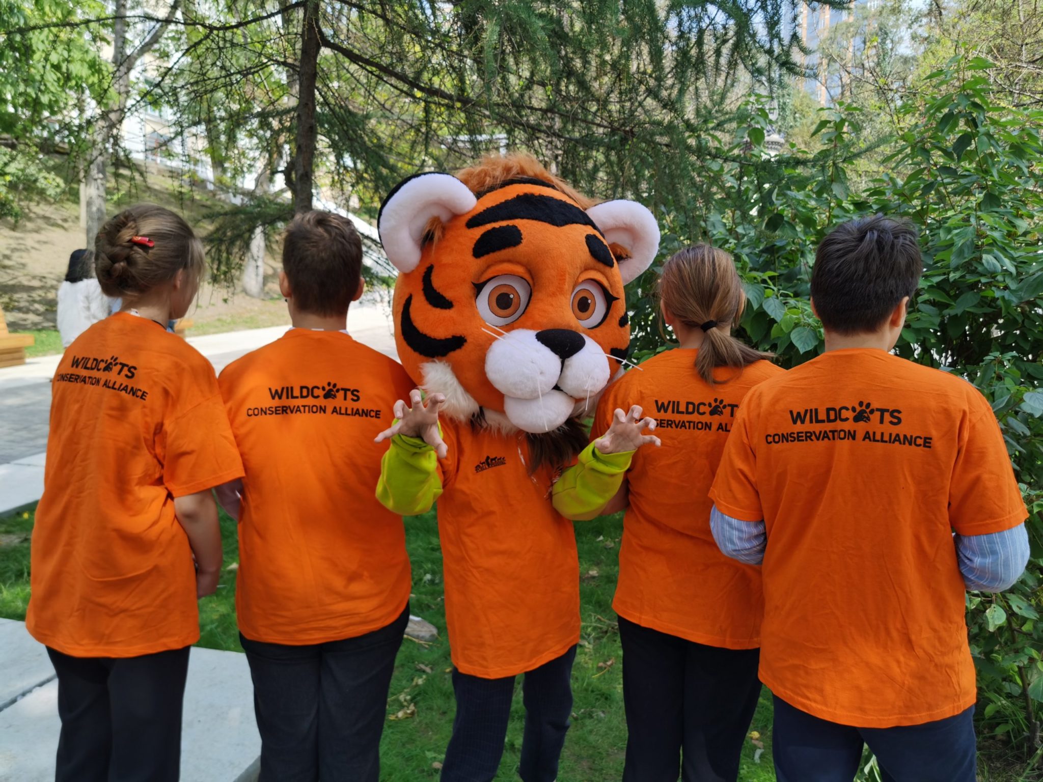 About WildCats - WildCats Conservation Alliance