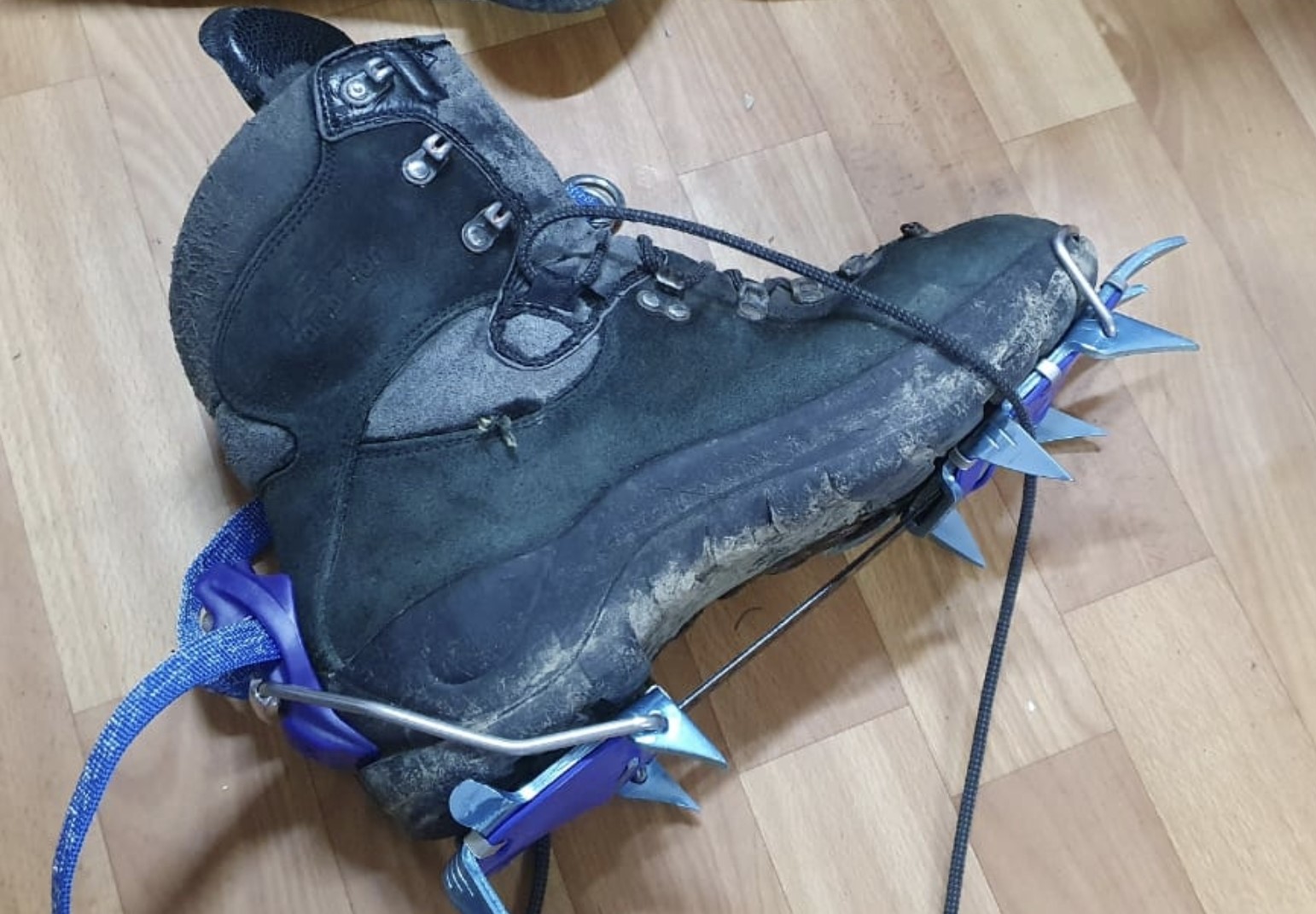 The perils of population monitoring - WildCats Conservation Alliance