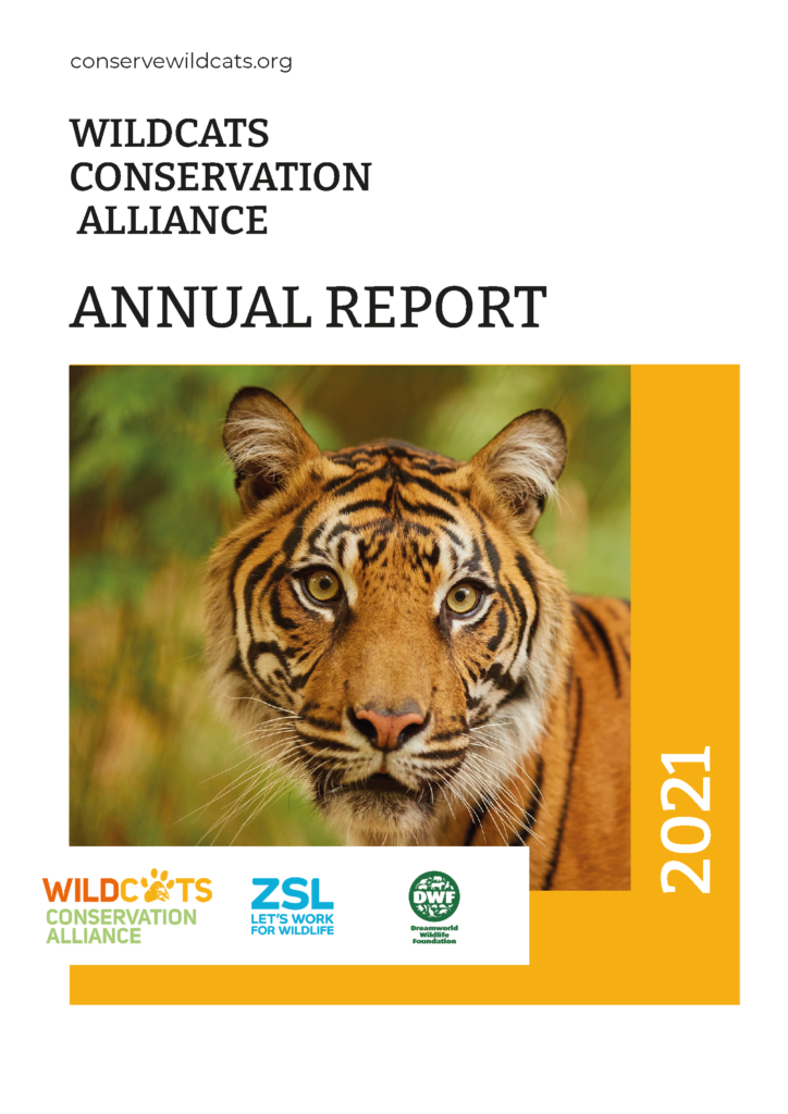 About WildCats - WildCats Conservation Alliance