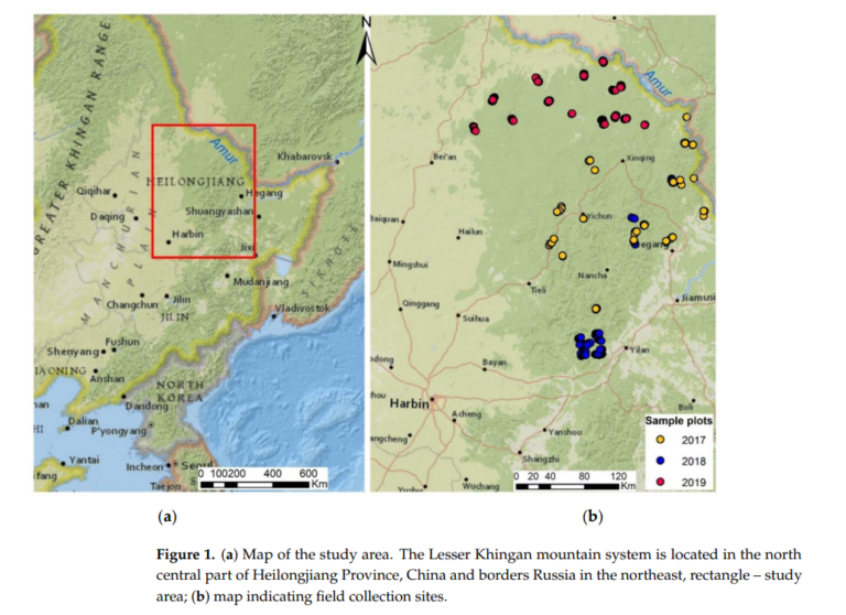 Is the Lesser Khingan Suitable for the Amur Tiger Restoration ...