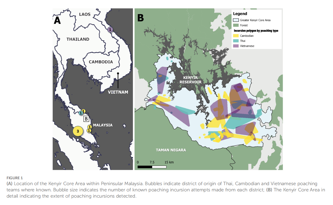Using a crime prevention framework to evaluate tiger counter-poaching ...