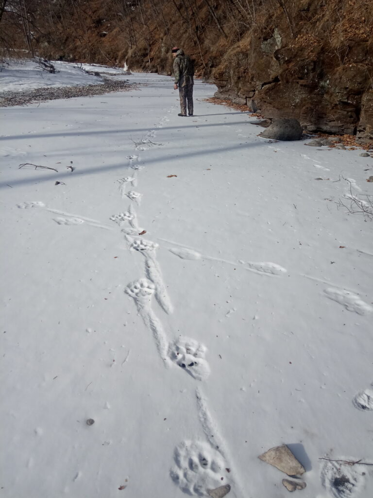 Millennia with tigers: Indigenous people of the Russian Far East