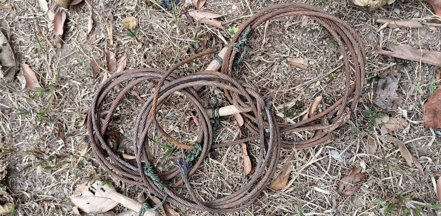 Reflecting on the role of human-felid conflict and local use in big cat ...