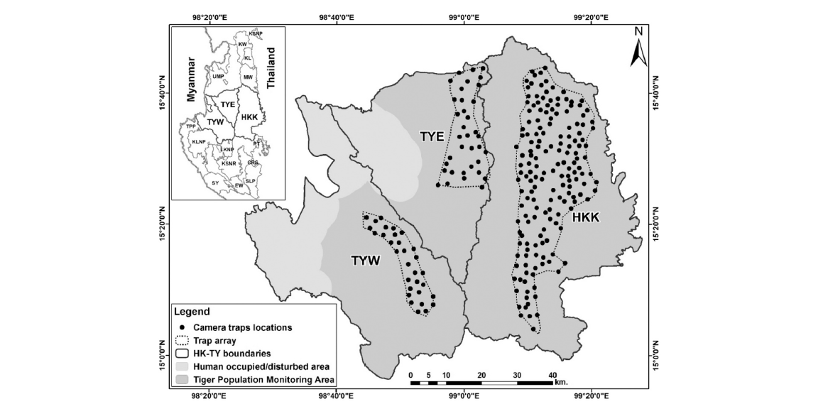 Rigorous assessment of a unique tiger recovery in Southeast Asia ...