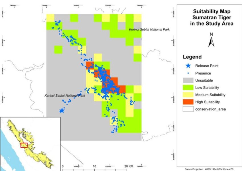 Movement Patterns and Habitat Suitability of Translocated Sumatran Tigers