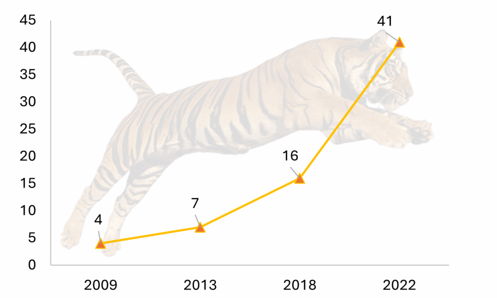 What Happens When Tigers Come Back?